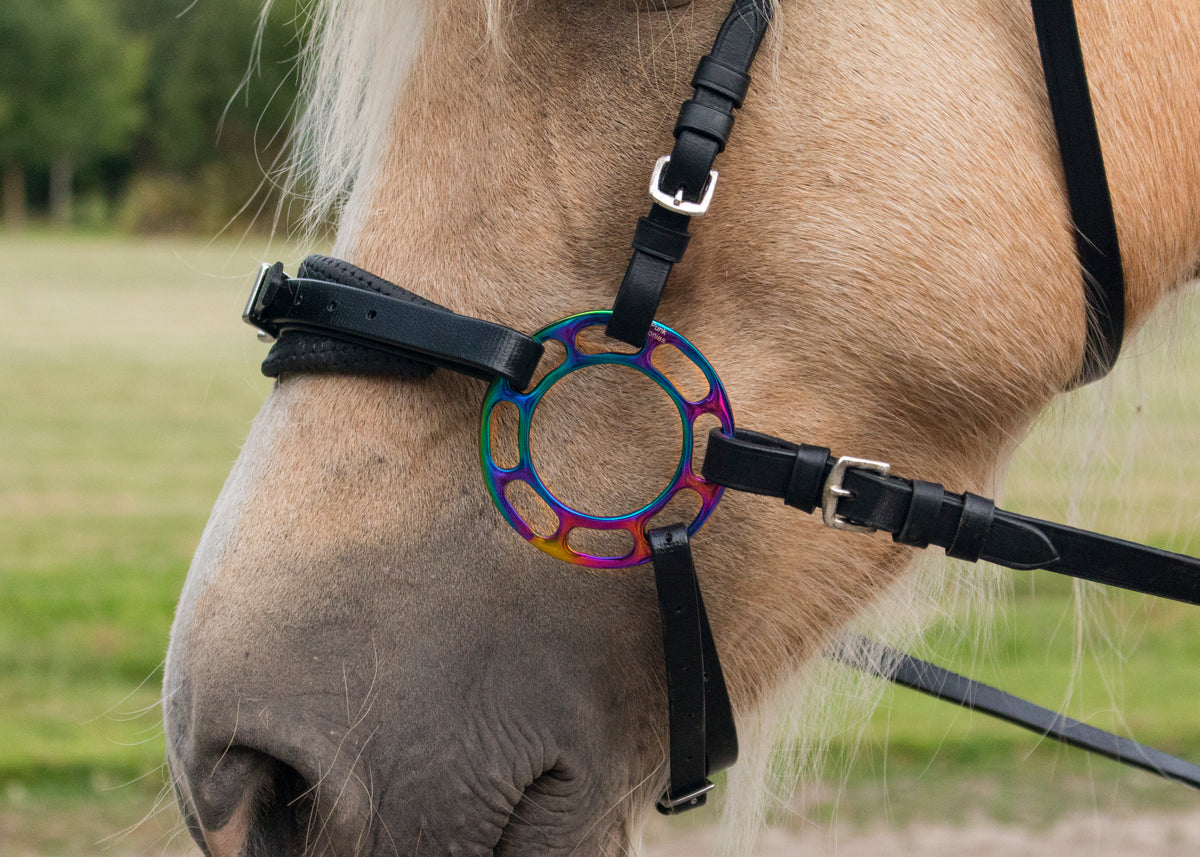 Wheel Hackamores – Punk Ponies