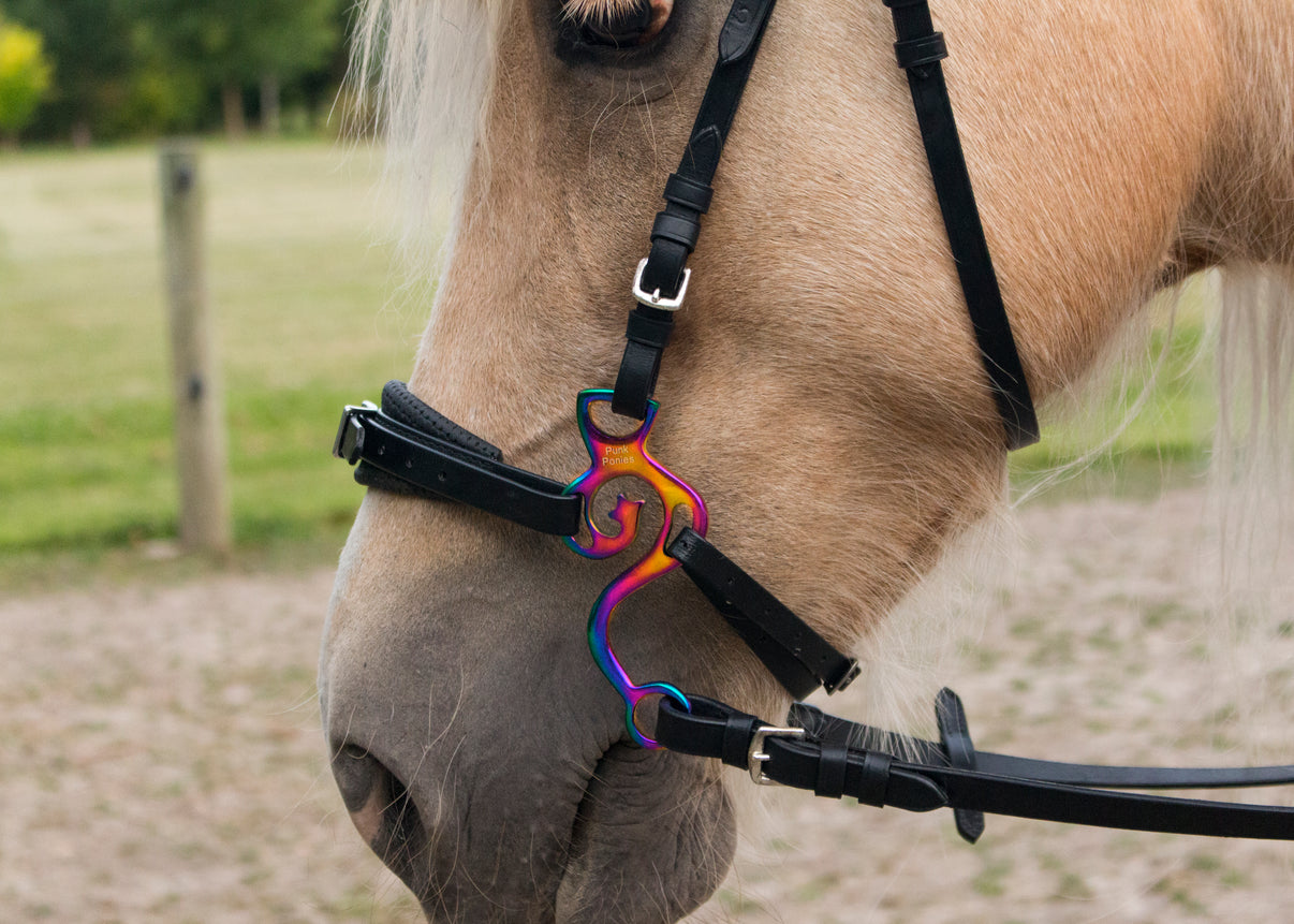 Baroque Hackamores – Punk Ponies