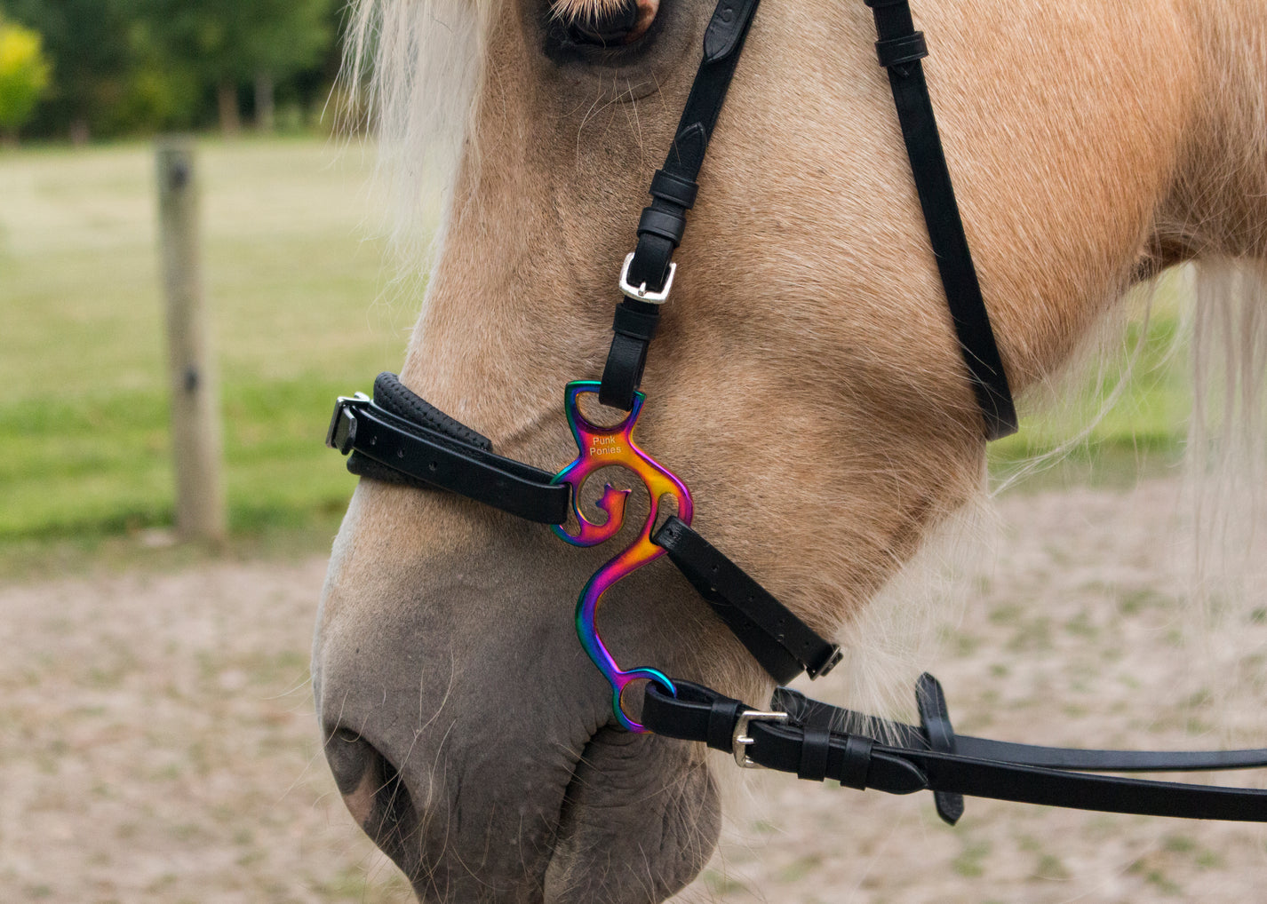 Baroque Hackamores – Punk Ponies